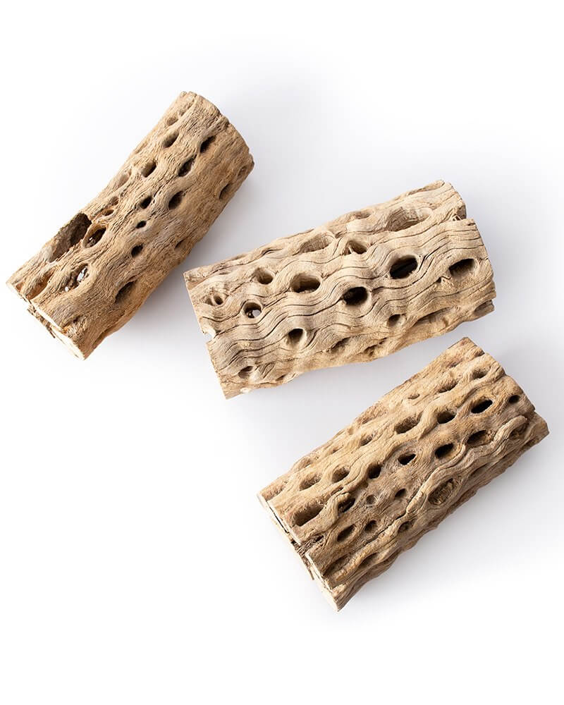 Cholla Wood Branches