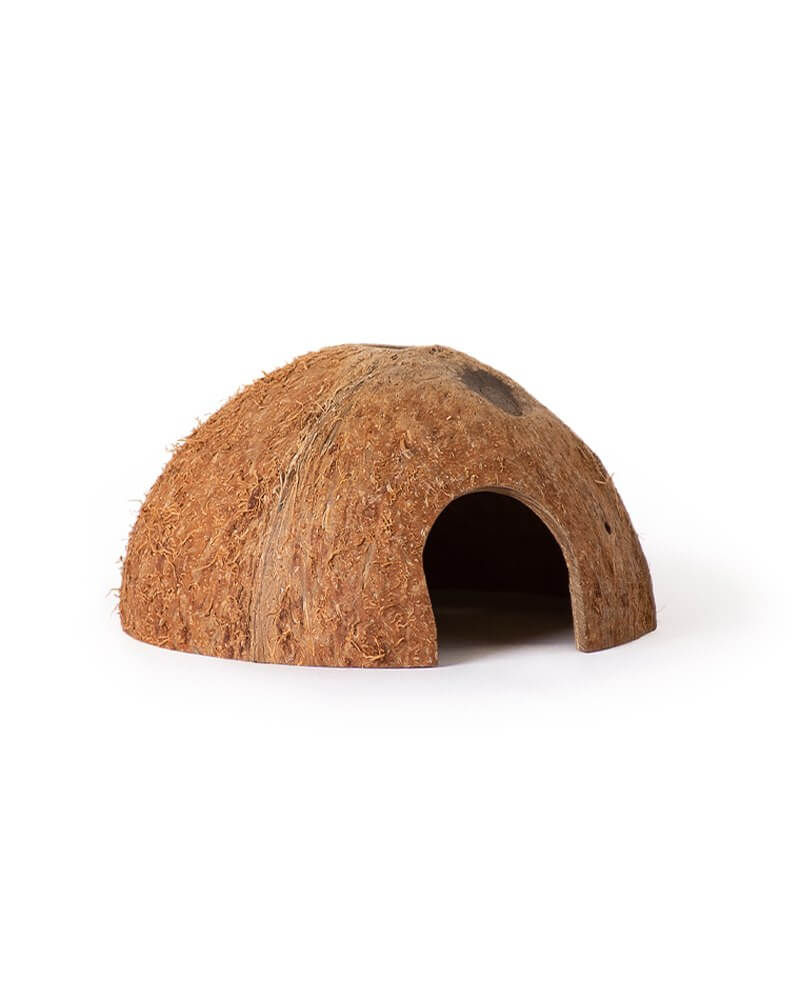 Galápagos Reptile Gear | Coconut Hut 4in