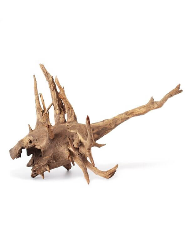 Galápagos Reptile Gear | Hollow Tree Root