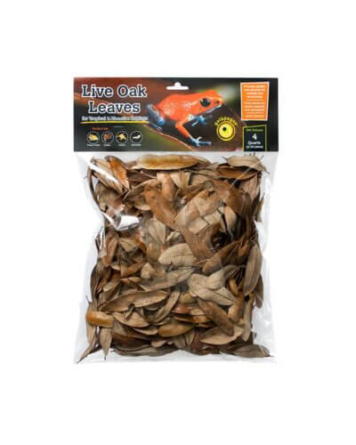 Natural Live Oak Leaf Litter, 4QT | Galápagos Reptile Gear