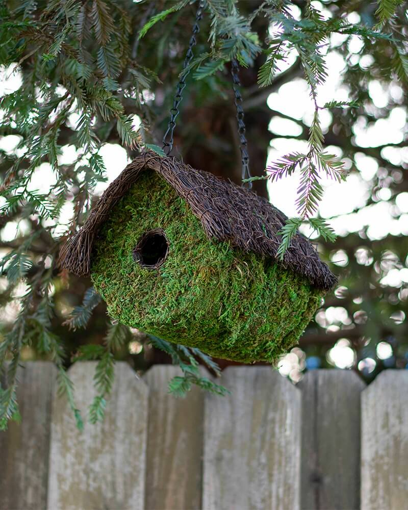 Galápagos Reptile Gear | Log House Birdhouse